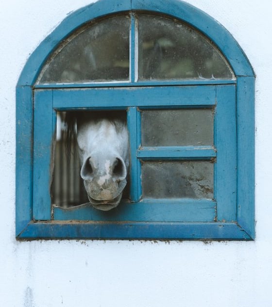 Timeline for Opioid Withdrawal: The Three Stages of Withdrawal ...