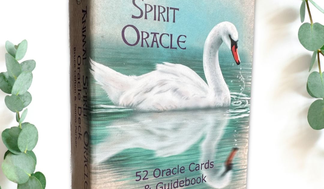 Animal Spirit Oracle Deck | Animal Spirit Oracle