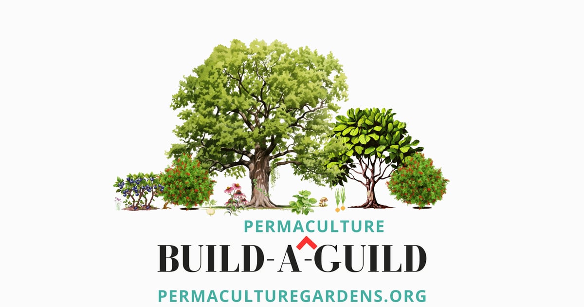 Build a (Permaculture) Guild! | Permaculture Gardens