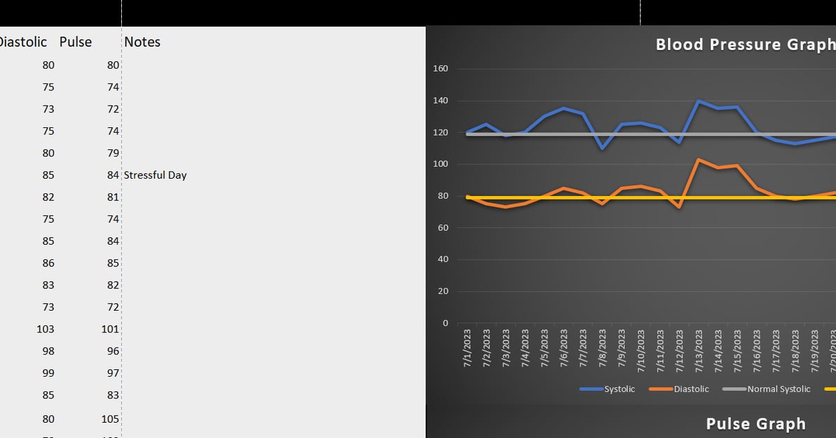 Blood Pressure and Pulse Tracker Excel Spreadsheet | PalAlley