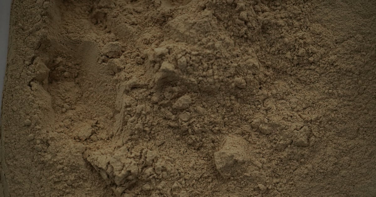 Gallnut: A Rich Source of Tannins | Organic Mordant | Forests and ...