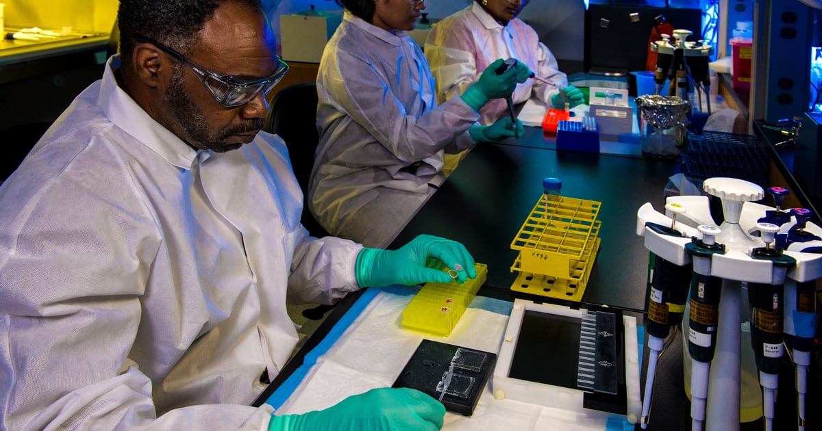 Forensic DNA: Solving Crimes & Family Ties | DNA Testing & Drug Testing ...