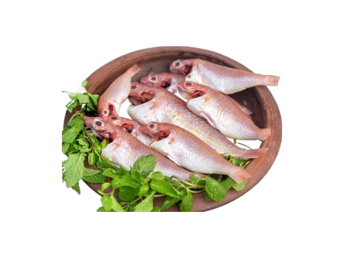 POA FISH | VISHAL HALAL FOOD