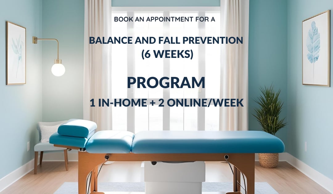 Balance And Fall Prevention Program 6 Weeks In Home Physical