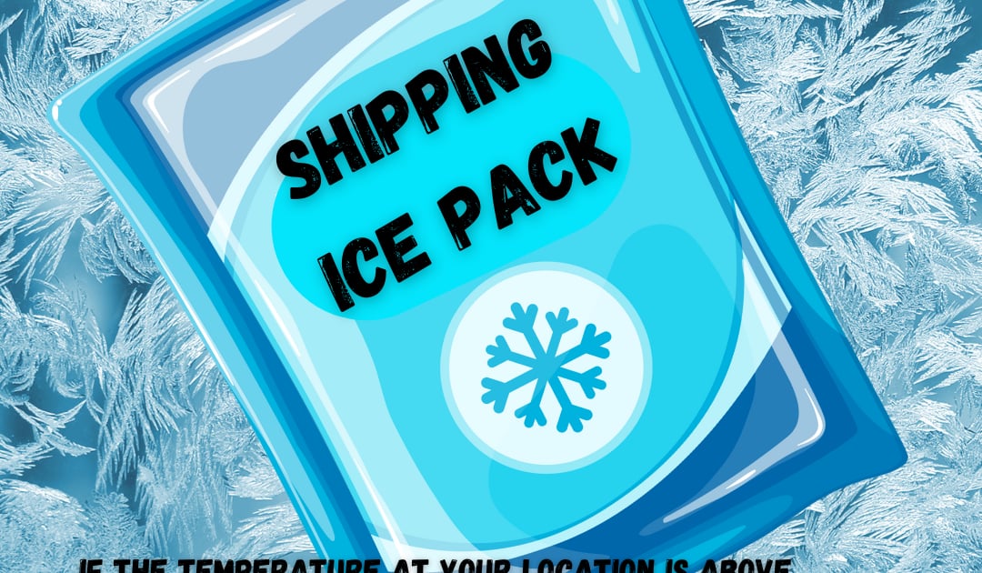Safe delivery with shipping ice packs | SnailySnail Pet Store
