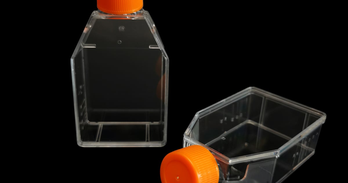 Cell CultureFlask | Envision Sciplus