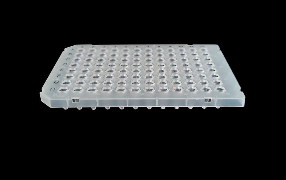 PCR Plate | Envision Sciplus