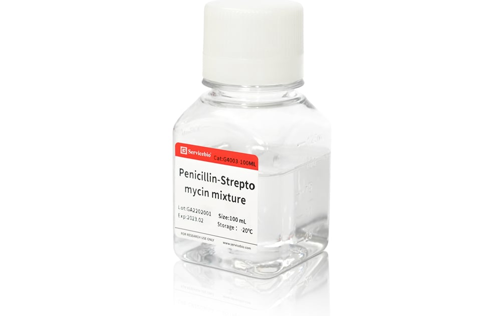 Antibiotics/ Bacteriostatic agent | Envision Sciplus