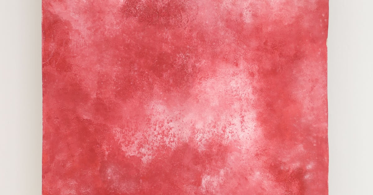 Buquê de rosa | Andina backdrops