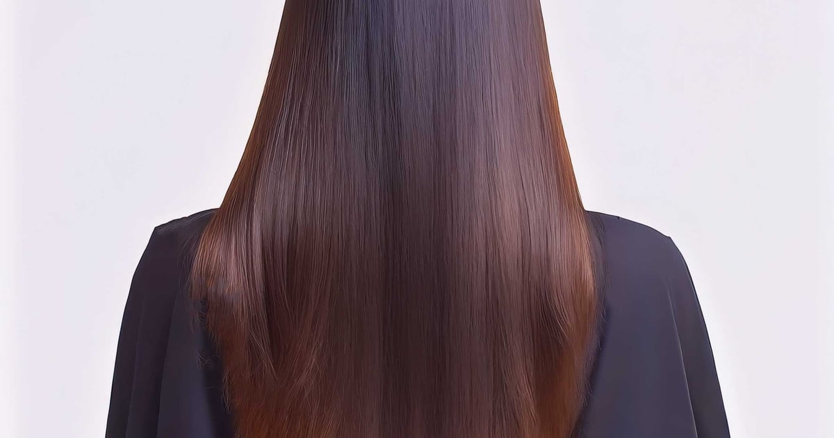 Basic Hair Cut | Glamora Beauty Studio