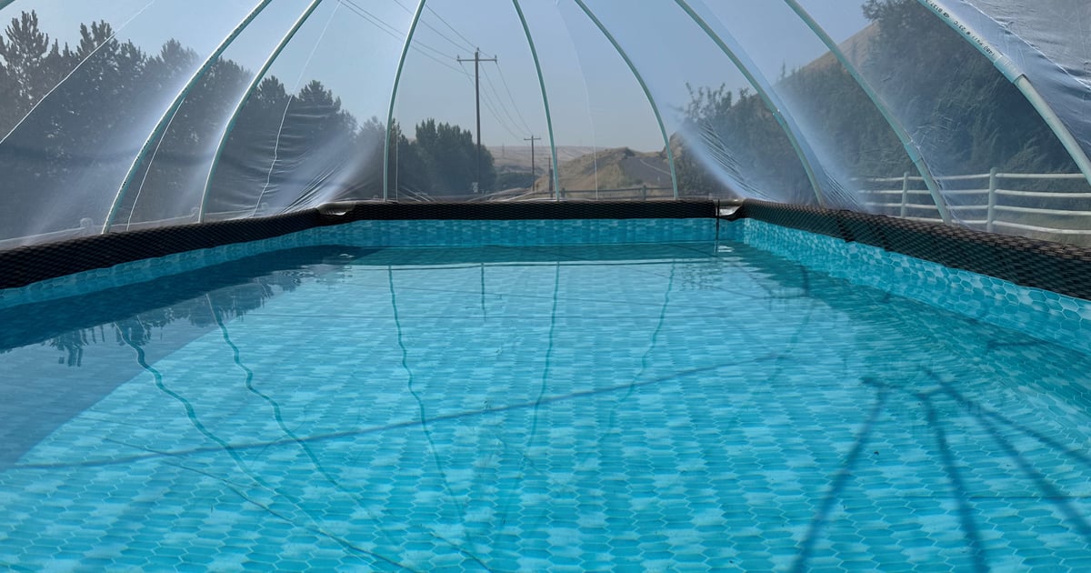 Screen Kit for 12’ x 20' to 21’ Rectangular or Oval Pools - BUY AT ...