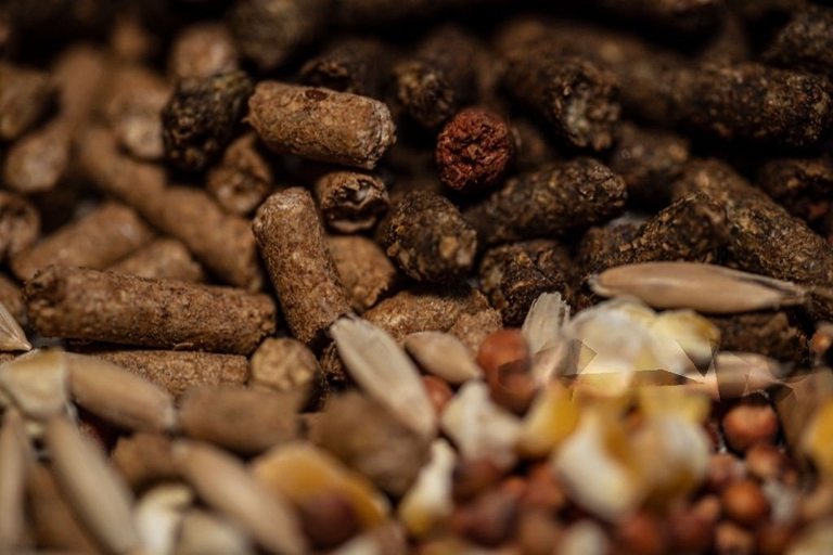 Bromatología | LIPEPSA