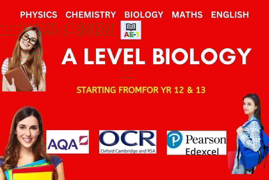 A LEVEL BIOLOGY INTERACTIVE CLASSES | AE1 LEARNING