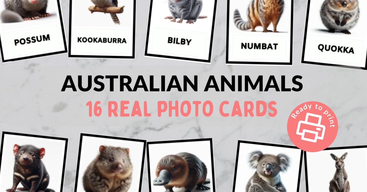 Australian Animal Flashcards & 3 Part Cards | Tiny Minds Printables
