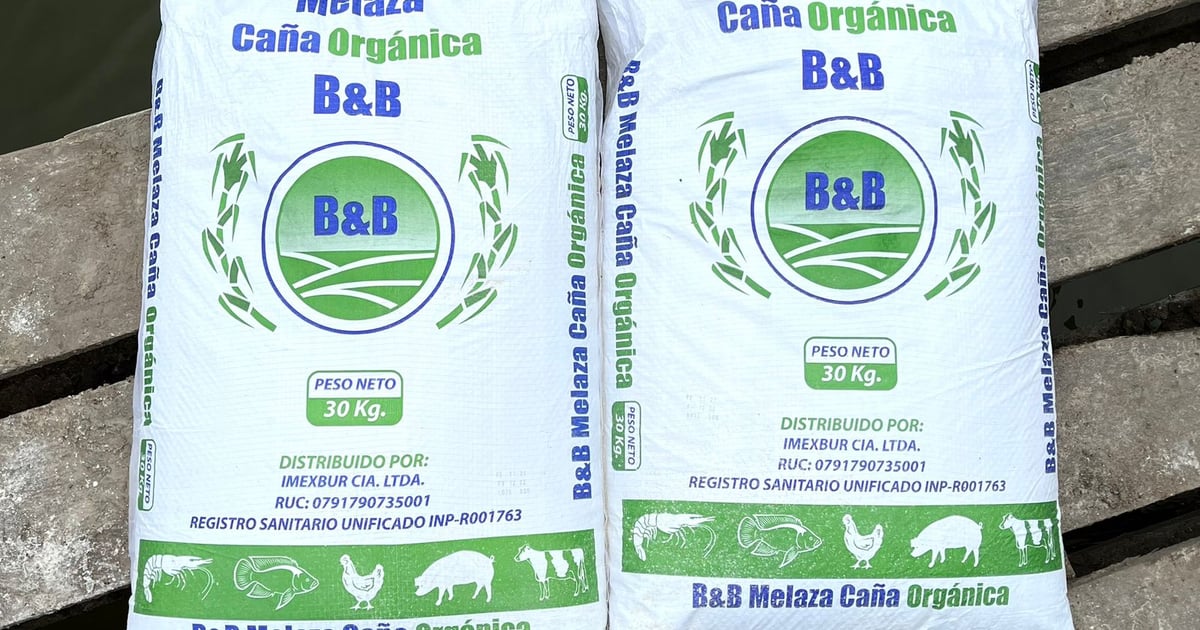 Melaza de Caña | Sacos 30 KG | Al granel