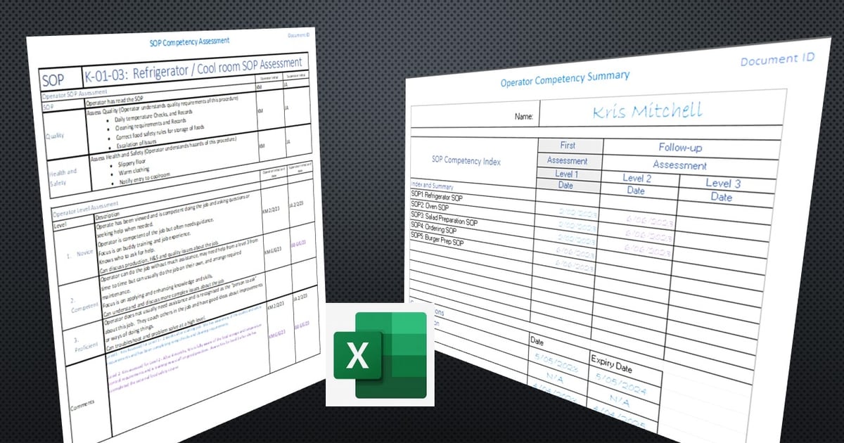 Excel Employee Competency Tool | QSystems