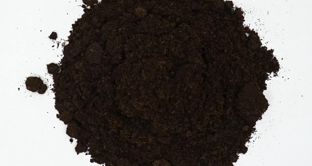 Peatmoss | Plant Itt