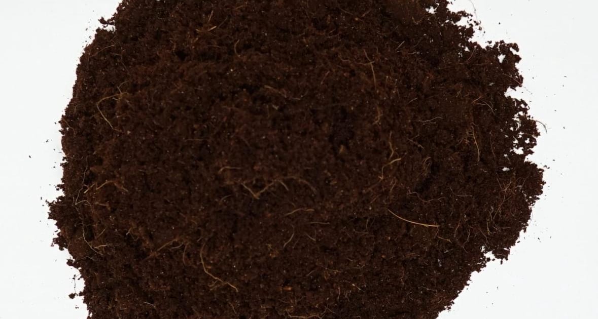 Cocopeat | Plant Itt