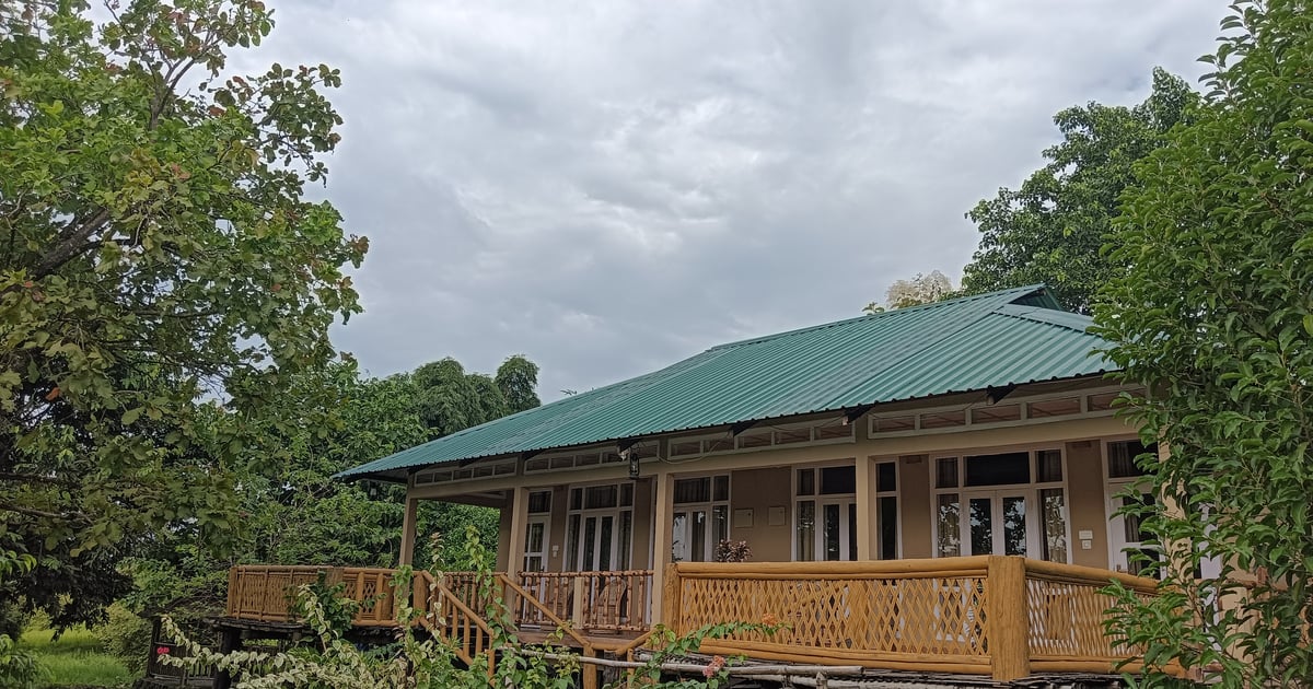 Twin Bedded Machaan | Panbaree Machaans