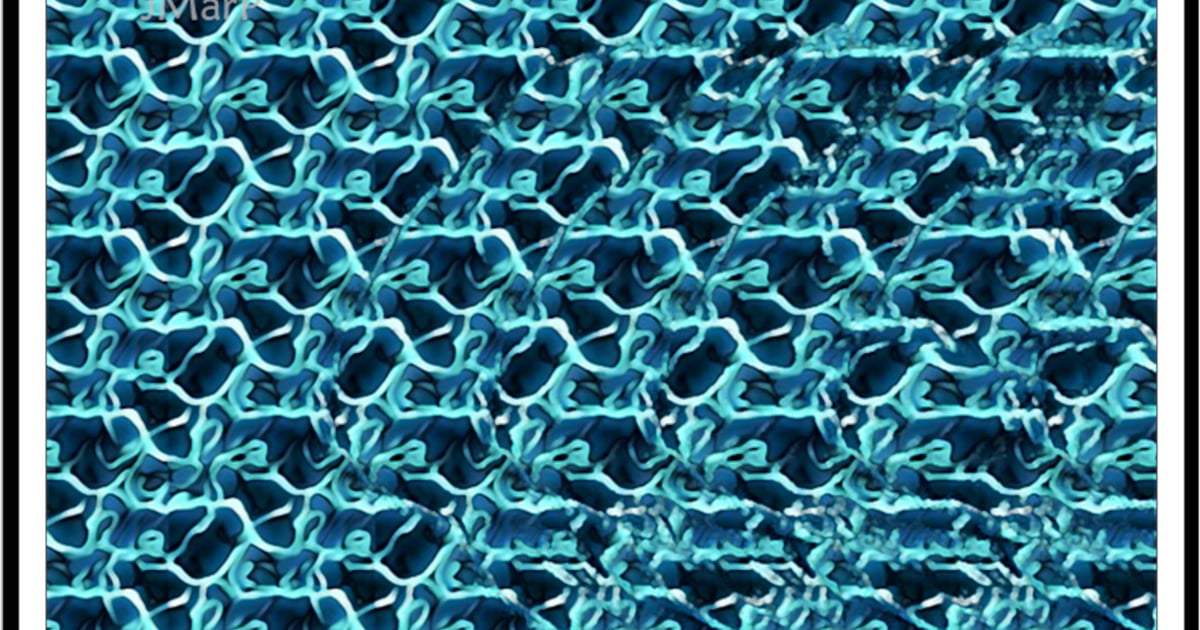 Fish Stereogram - Parallel View, Magic Eye Hidden 3D | JMarP Stereograms