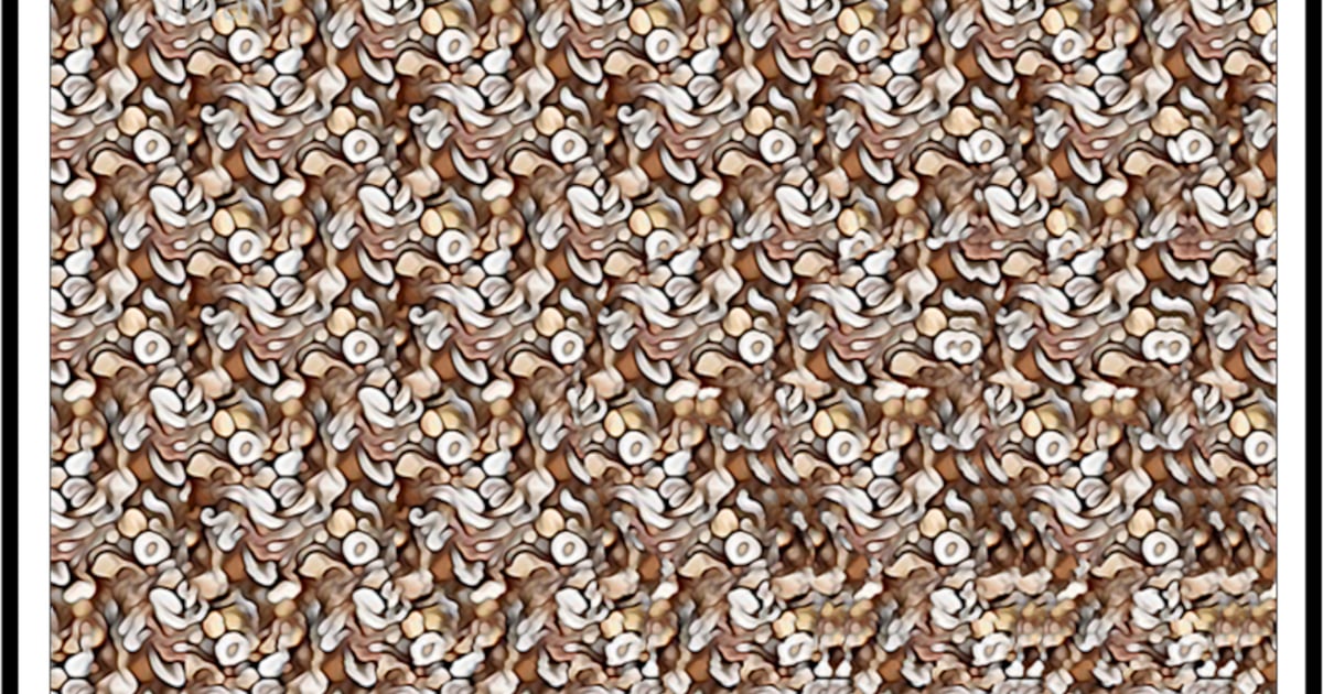 Snake 3 Stereogram - Parallel View, Magic Eye Hidden 3D | JMarP Stereograms