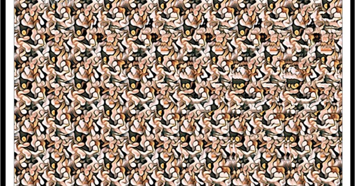 Turtle Stereogram - Parallel View, Magic Eye Animal Hidden 3D Optical ...
