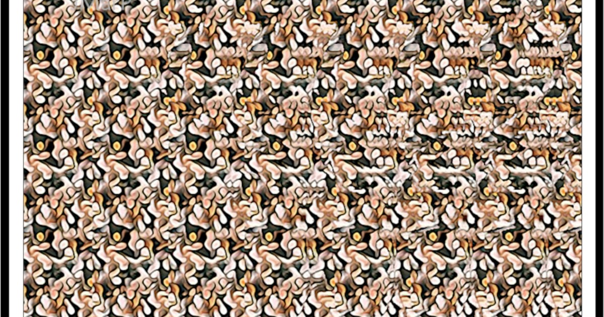 Turtle Stereogram - Cross-eyed View, Magic Eye Hidden 3D | JMarP ...