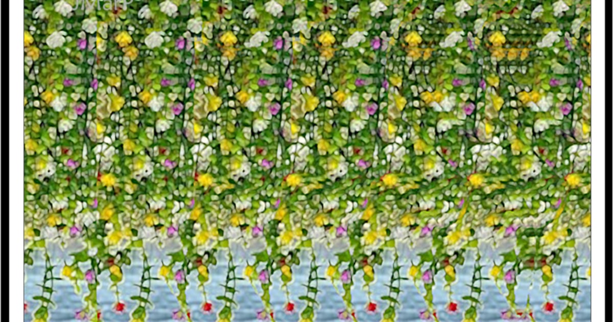 Turtle Stereogram - Parallel View, Magic Eye Animal Hidden 3D Optical ...