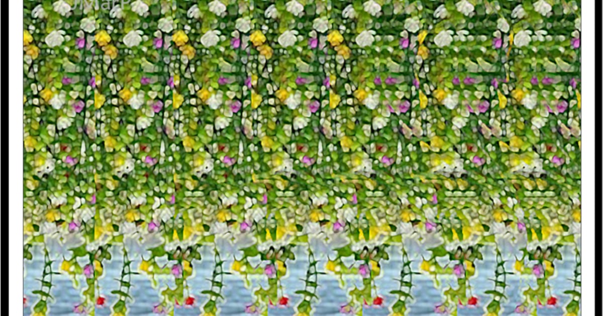 Turtle Stereogram - Cross-eyed View, Magic Eye Hidden 3D | JMarP ...