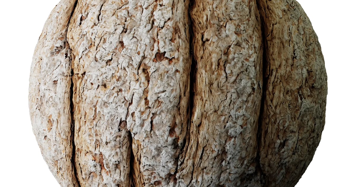 Free tree bark texture, Seamless tree bark Texture, PBR Textures for ...