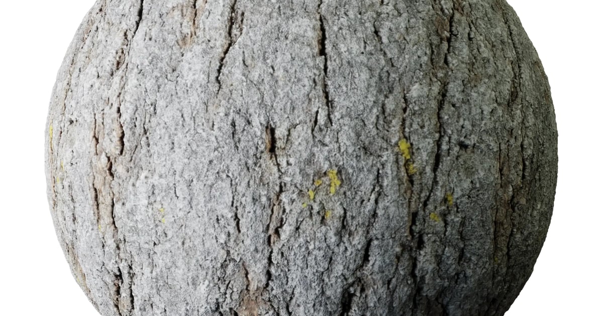 Free tree bark texture, Seamless tree bark Texture, PBR Textures for ...