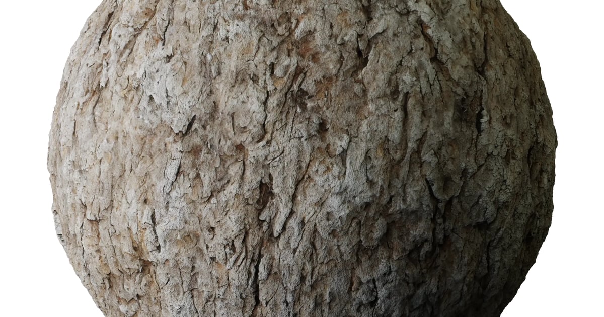 Free tree bark texture, Seamless tree bark Texture, PBR Textures for ...