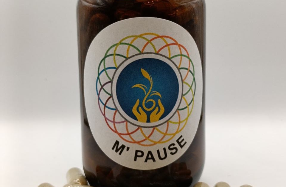 M' Pause Supplement | BENJAMIN MCAVOY