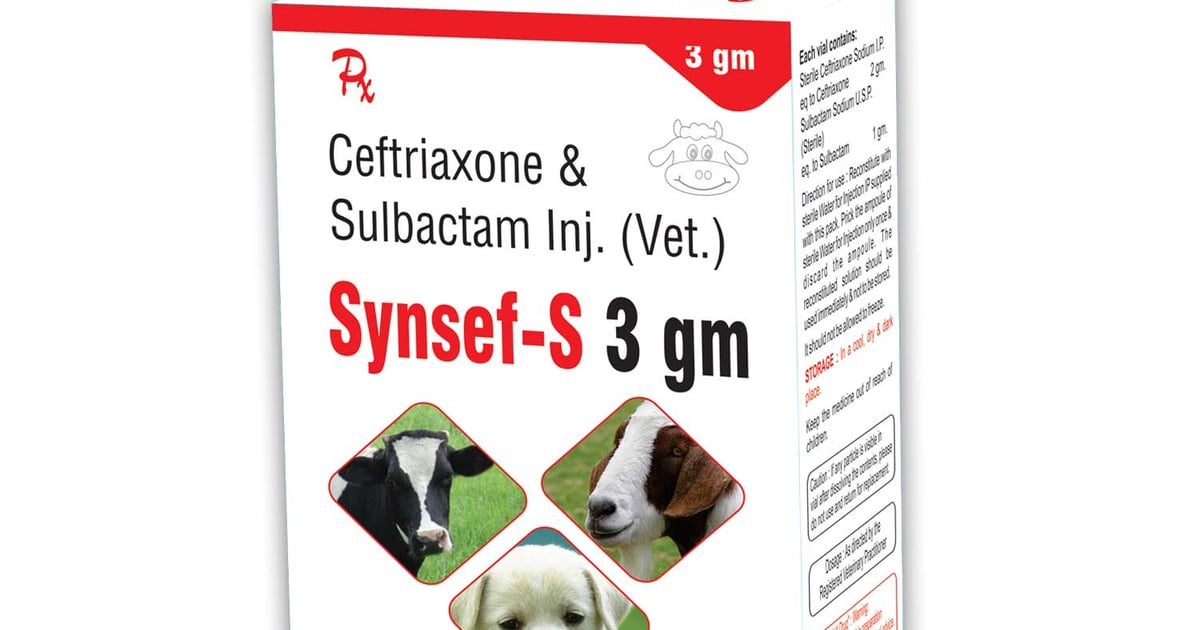 Synsef-S injection | Agron Vet Care