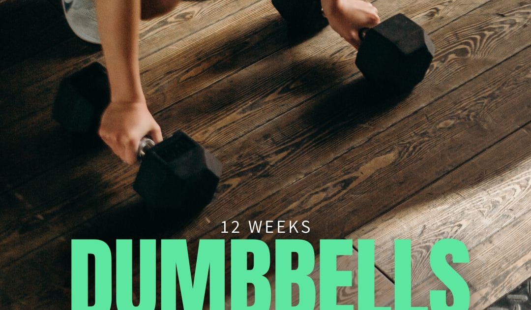 12 WEEK DUMBBELLS ONLY FULL BODY TRANSFORMATION WORKOUT PLAN | Calvin ...