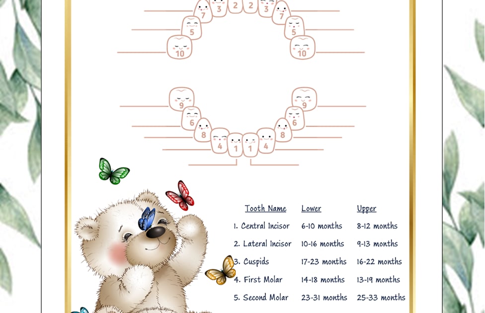 White Bear Baby Teeth Chart – Printable Baby Milestone Tracker ...