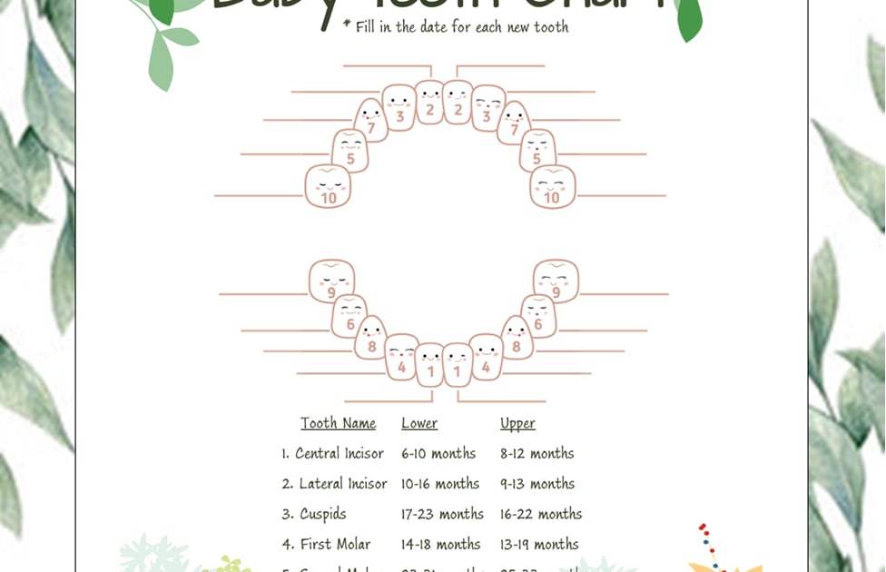 Floral Teeth Chart – Printable Baby Milestone Tracker | LiveProverbs31