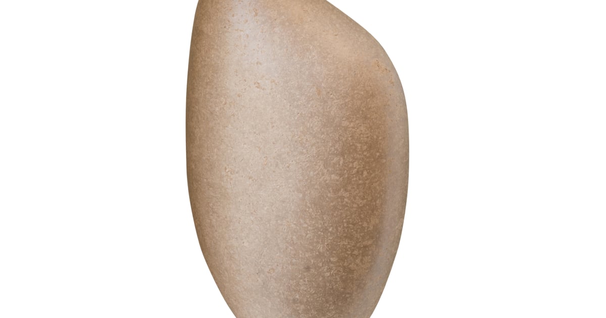 Smooth Shell Vases | MFHomedesign