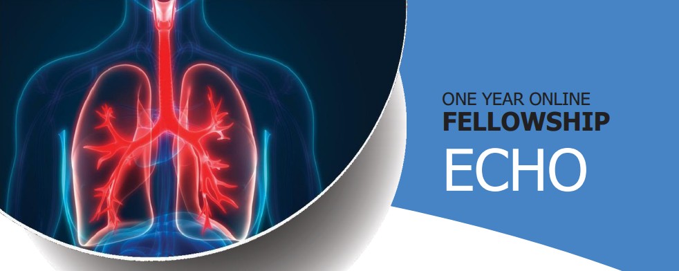 Fellowship In Echocardiography | www.training4impact.com