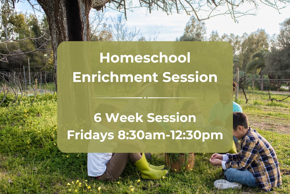 Homeschool Enrichment Session | Oak Ridge Nature School