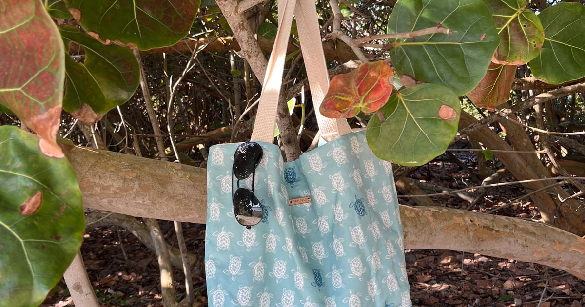 Turtle Tote
