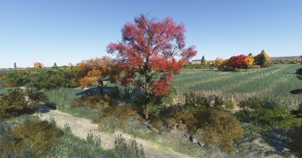 Seasons Enhanced 2024 - V2.9 | Bijan Studio