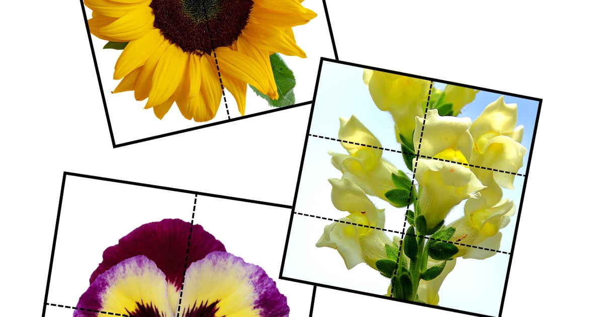 Flower Puzzles | Print-A-Play