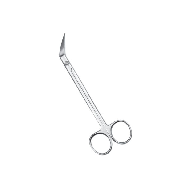 Curved Surgical Scissors | Auspicio International