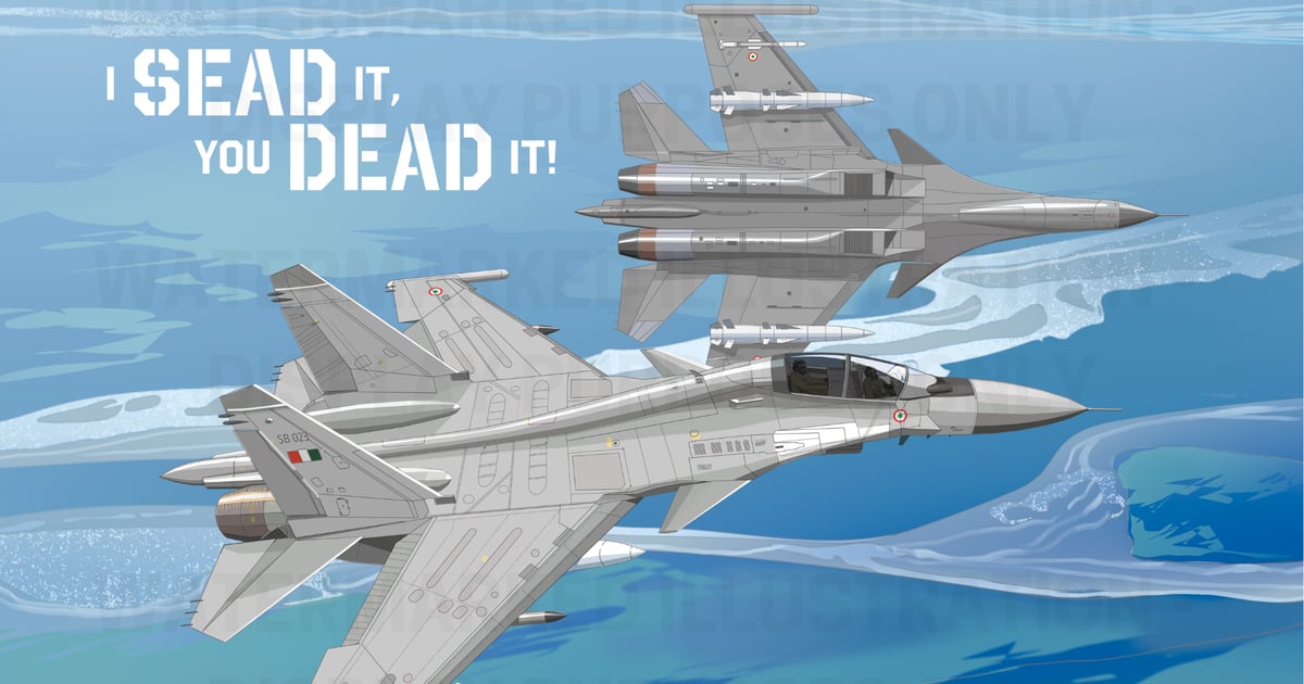 IAF Su-30 MKI Pair - SEAD and DEAD | Reach Defence