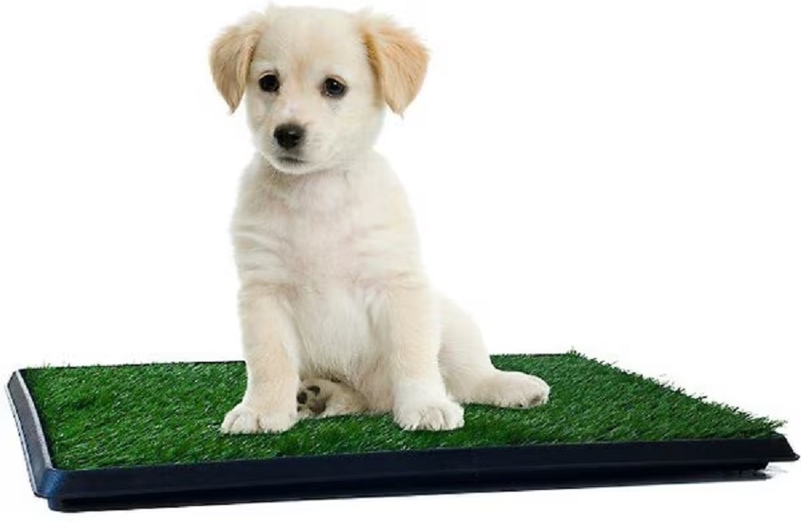 Premium Artificial Turf Solutions | Pet PP Tray