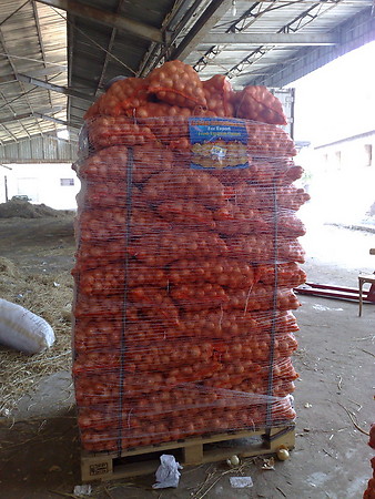 Bulk Onions Pallet | Mazaya Foodstuff Trading