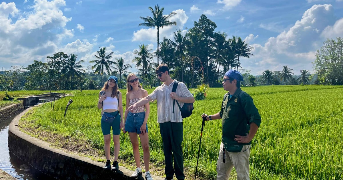 UNESCO rice terraces and subak trekking | taro tours