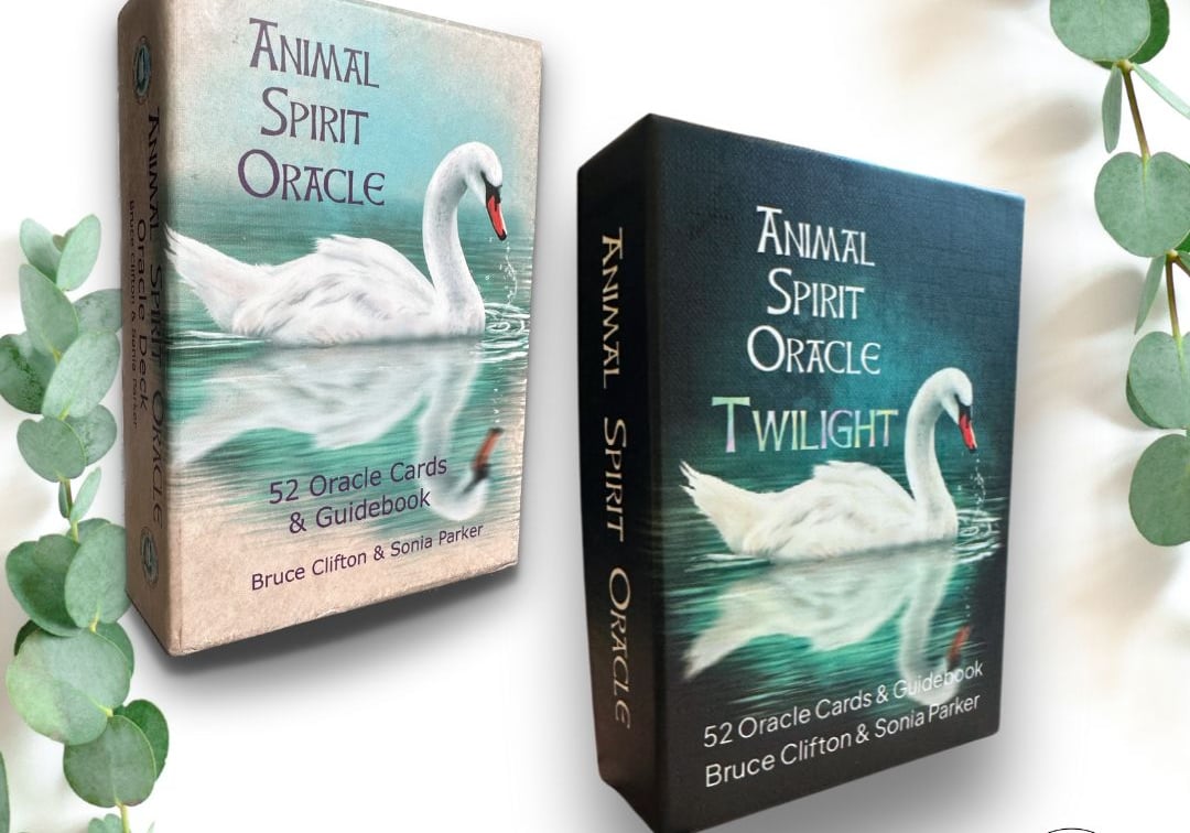 50% Off Animal Spirit Oracle Deck Bundle | Animal Spirit Oracle