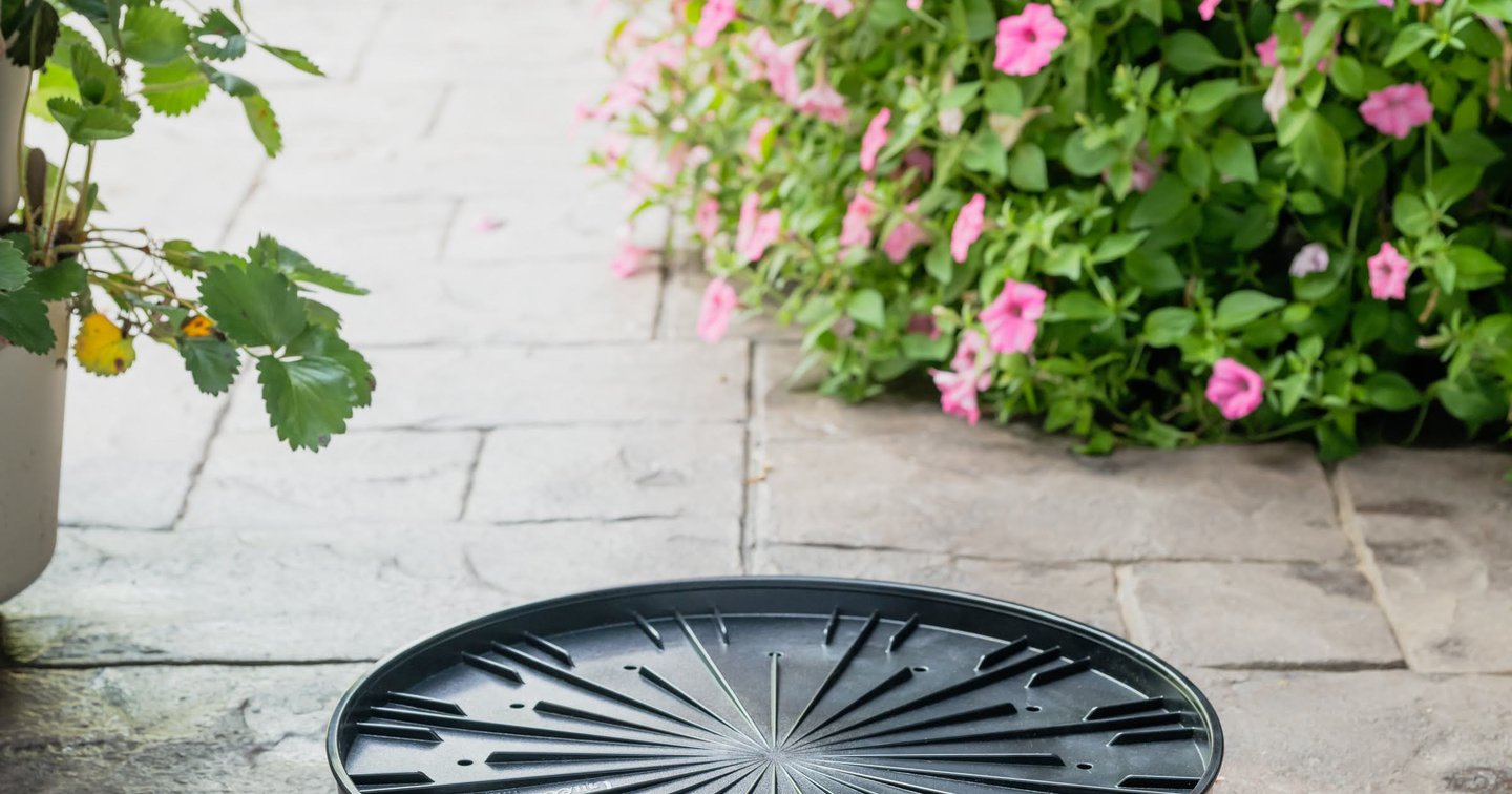 Ultimate Spinner Base | Rooted in Bolton